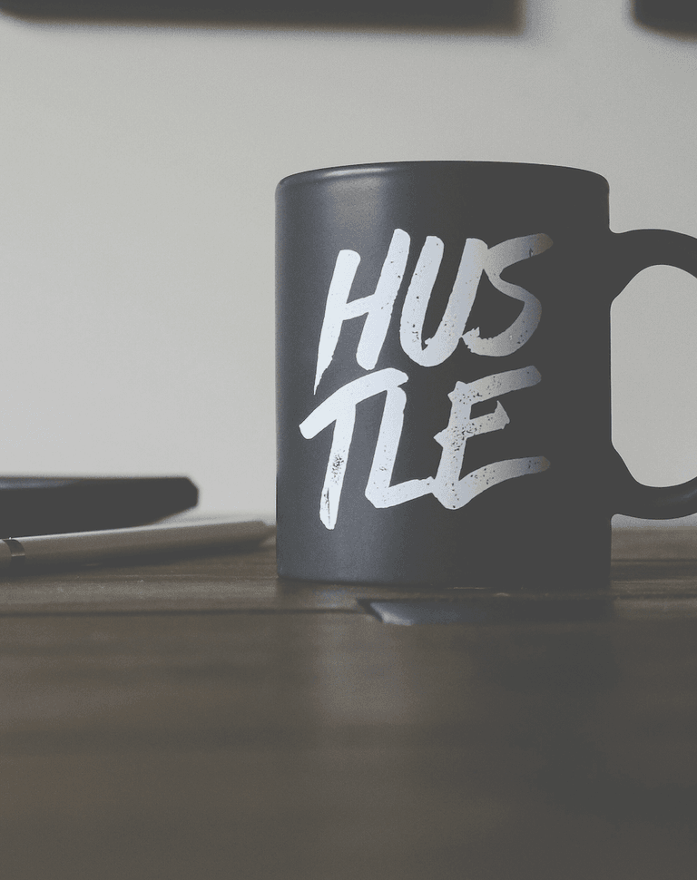 Elevate Your Tender Success with Shipley's Expert Guidance